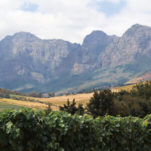 Enjoy the Area - Nibbana Farm